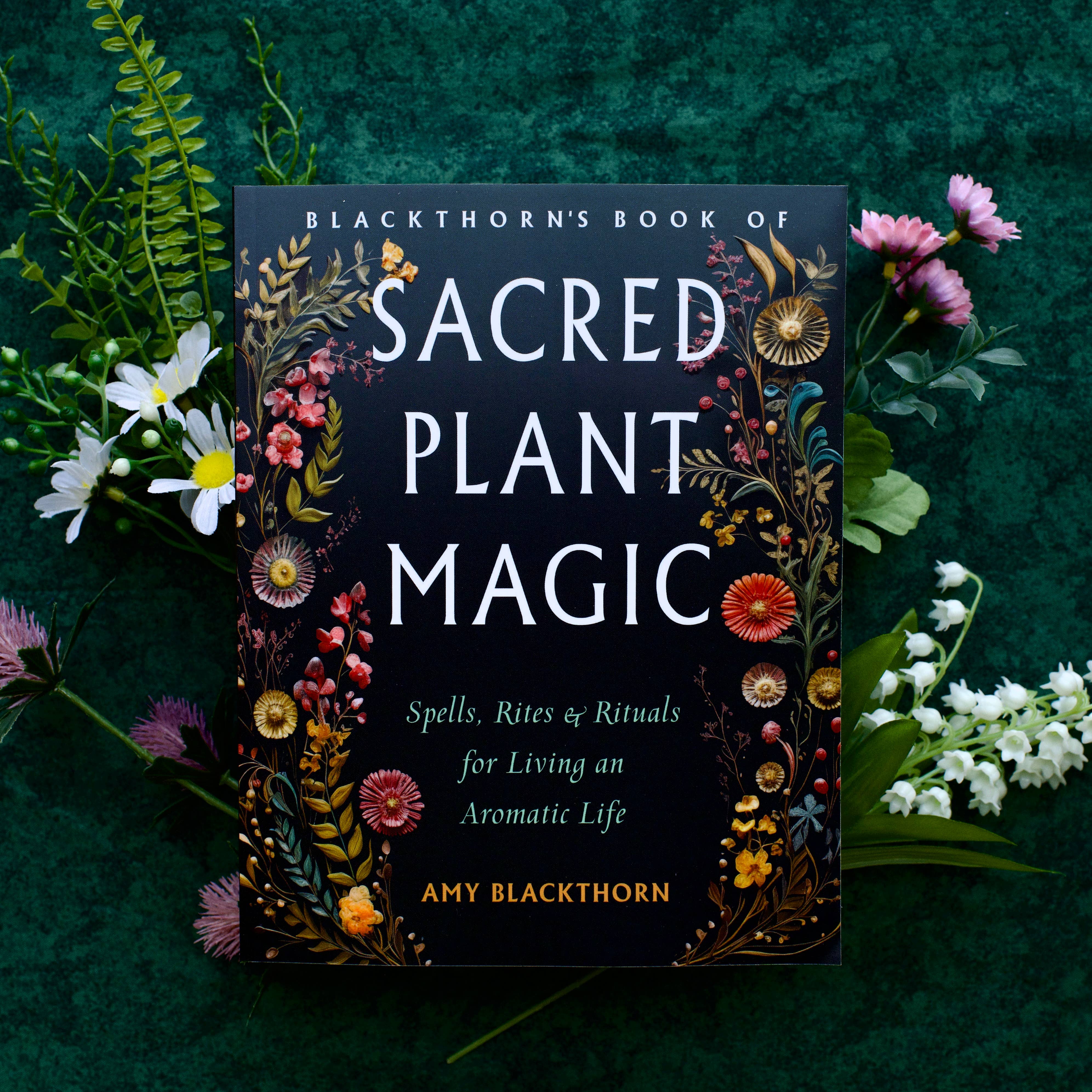 Blackthorn's Book of Sacred Plant Magic: Spells & Rituals – Wild Soul ...